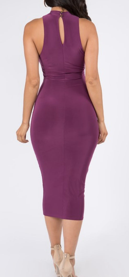 Berry Body Fitted Dress – All That She Needs